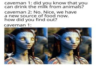 31 High Tier Memes To Get You Through Your Day - Funny Gallery | eBaum ...