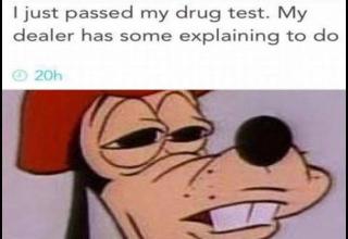 Over 95 (Ninety Five) Actually Funny Memes to Save and Share - Funny ...