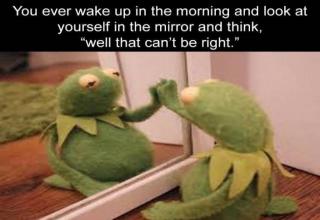 Over 95 (Ninety Five) Actually Funny Memes to Save and Share - Funny ...