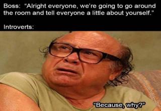 Over 95 (Ninety Five) Actually Funny Memes to Save and Share - Funny ...