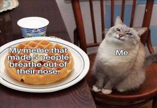 Extra Large Batch of Funny Memes and Pics (59 Images) - Funny Gallery ...