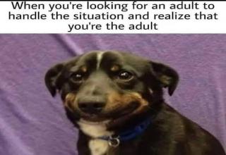 Extra Large Batch of Funny Memes and Pics (59 Images) - Funny Gallery ...