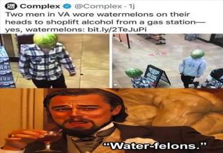 40 Fresh Funny Memes for a Quick Laugh - Funny Gallery | eBaum's World