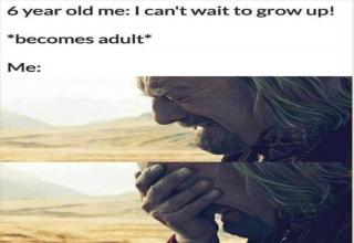 88 Golden Memes to Gander at Your Leisure | eBaum's World