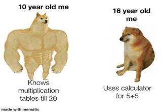 88 Golden Memes to Gander at Your Leisure | eBaum's World