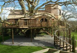24 Badass Treehouses That'll Make You Feel Like A Kid Again - Wow ...