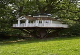24 Badass Treehouses That'll Make You Feel Like A Kid Again - Wow ...
