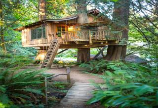 24 Badass Treehouses That'll Make You Feel Like A Kid Again - Wow ...