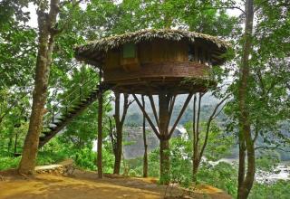 24 Badass Treehouses That'll Make You Feel Like A Kid Again - Wow ...