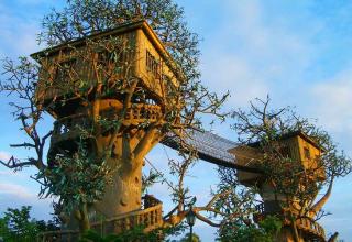 24 Badass Treehouses That'll Make You Feel Like A Kid Again - Wow ...