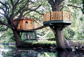 24 Badass Treehouses That'll Make You Feel Like A Kid Again - Wow ...