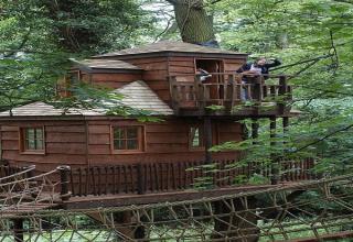 24 Badass Treehouses That'll Make You Feel Like A Kid Again - Wow ...