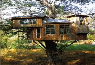 24 Badass Treehouses That'll Make You Feel Like A Kid Again - Wow ...