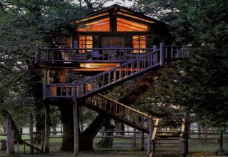 24 Badass Treehouses That'll Make You Feel Like A Kid Again - Wow ...