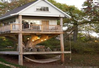 24 Badass Treehouses That'll Make You Feel Like A Kid Again - Wow ...
