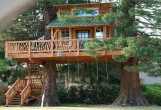 24 Badass Treehouses That'll Make You Feel Like A Kid Again - Wow ...