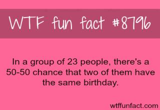 25 Weird and WTF Facts Improve Your Brain - Wtf Gallery | eBaum's World