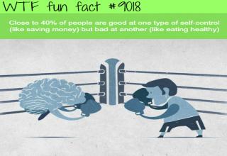 35 Fun and WTF Facts to Expand Your Mind - Wow Gallery | eBaum's World