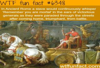 30 Random Fun Facts to Shove into your Head - Wow Gallery | eBaum's World