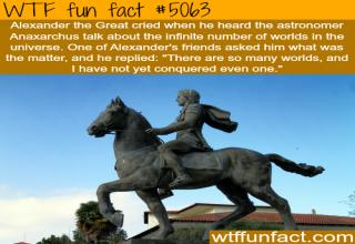 30 Random Fun Facts to Shove into your Head - Wow Gallery | eBaum's World
