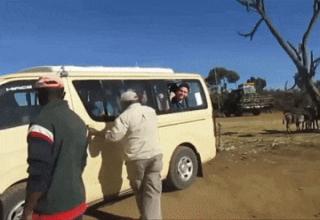 20 Gifs That Remind You Why Watching People Fail is The Best | eBaum's ...