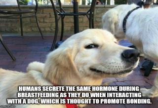 40 Fast Facts to Fascinate Friends - Wow Gallery | eBaum's World