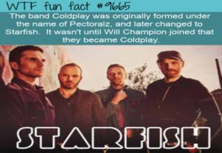 40 Fast Facts to Fascinate Friends - Wow Gallery | eBaum's World