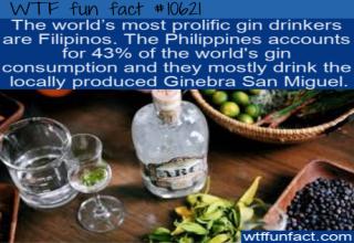 Forty Fun Facts For Your Weekend - Wow Gallery | eBaum's World