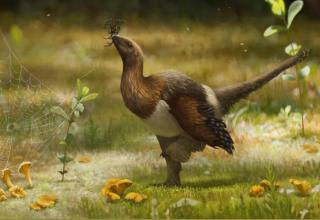 45 Pics and Memes to Occupy Your Headspace - Funny Gallery | eBaum's World