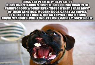 40 Fun Facts For a Frontal Lobe Feast - Funny Gallery | eBaum's World