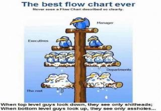 Company Structure - Picture | eBaum's World