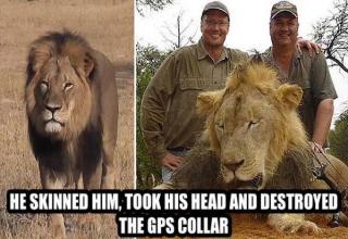 24 Examples Of People That Pure Evil - Wtf Gallery | eBaum's World