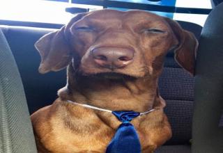 40 Mixed Pics That Will Destroy Your Boredom - Funny Gallery | eBaum's ...