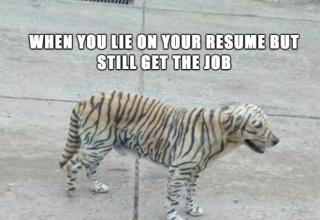 43 Funny Pics And Memes To Fuel Your Fire - Gallery | eBaum's World