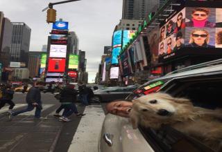 37 Fun and Fascinating Photos to Improve Your Mood - Funny Gallery ...