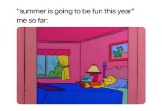 25 'Summer 2020' Memes To Sunburn Your Humor - Funny Gallery | eBaum's ...