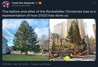 The Crappy Rockefeller Christmas Tree is Perfect for 2020 - Funny ...