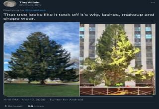 The Crappy Rockefeller Christmas Tree is Perfect for 2020 - Funny ...