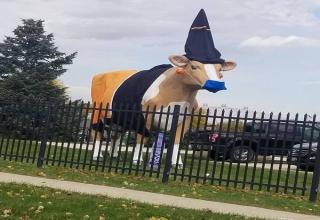 50 Cursed Images From Around the Web - Wtf Gallery | eBaum's World