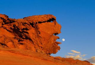 46 Dope Images to Chill With - Funny Gallery | eBaum's World