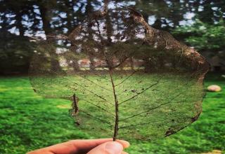 46 Dope Images to Chill With - Funny Gallery | eBaum's World