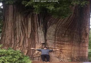 55 Pics Carefully Curated For Maximum Coolness - Gallery | eBaum's World