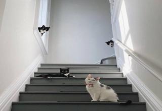 55 Pics Carefully Curated For Maximum Coolness - Gallery | eBaum's World