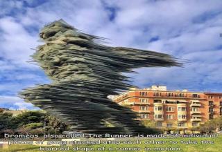 51 Fun Pics to Get The Week Rolling - Funny Gallery | eBaum's World