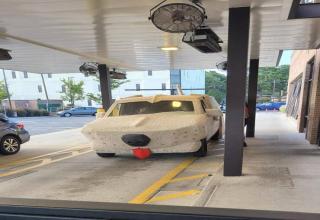 51 Fun Pics to Get The Week Rolling - Funny Gallery | eBaum's World