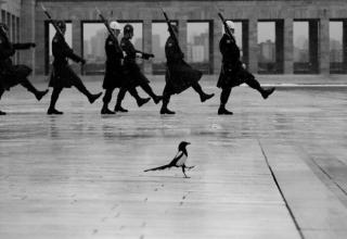 44 Fascinating Photos For a Cross-Section of Cool - Funny Gallery ...