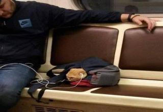 44 Fascinating Photos For a Cross-Section of Cool - Funny Gallery ...