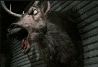 creepy deer scene Evil dead 2 - Picture | eBaum's World