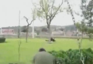 Flying's Friday Gif Gallery - Funny Gallery | eBaum's World