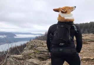 41 Awkward Photos That Will Make You Look Twice - Wtf Gallery | eBaum's ...